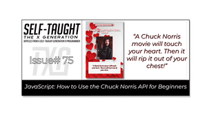 JavaScript: How to Use the Chuck Norris API for Beginners